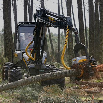 Maison de la forêt | SODEF